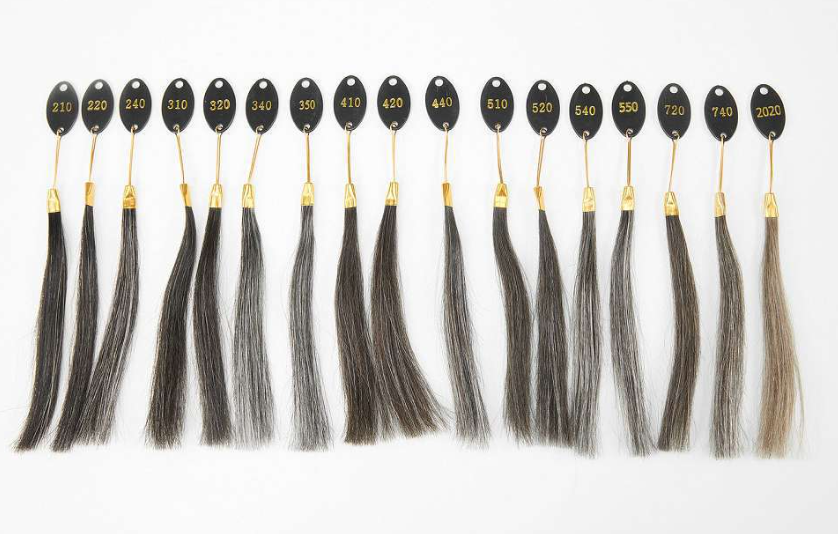 Find Your Perfect Match with The Best Men's Toupee Color Ring - Hair System