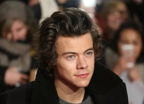 The Truth About Harry Styles' Hairline - Hair System