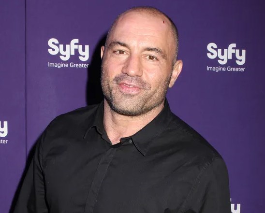 The Rare Look Of Joe Rogan With Hair - Hair System